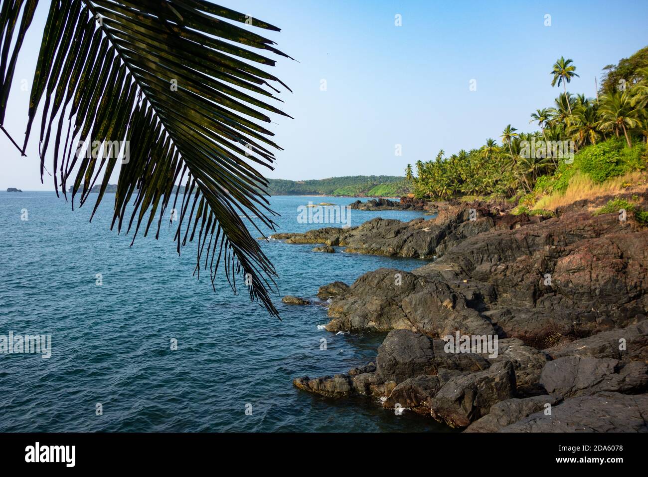 Arabian sea meets rocky shoreline and coconut palm trees at Cabo de ...