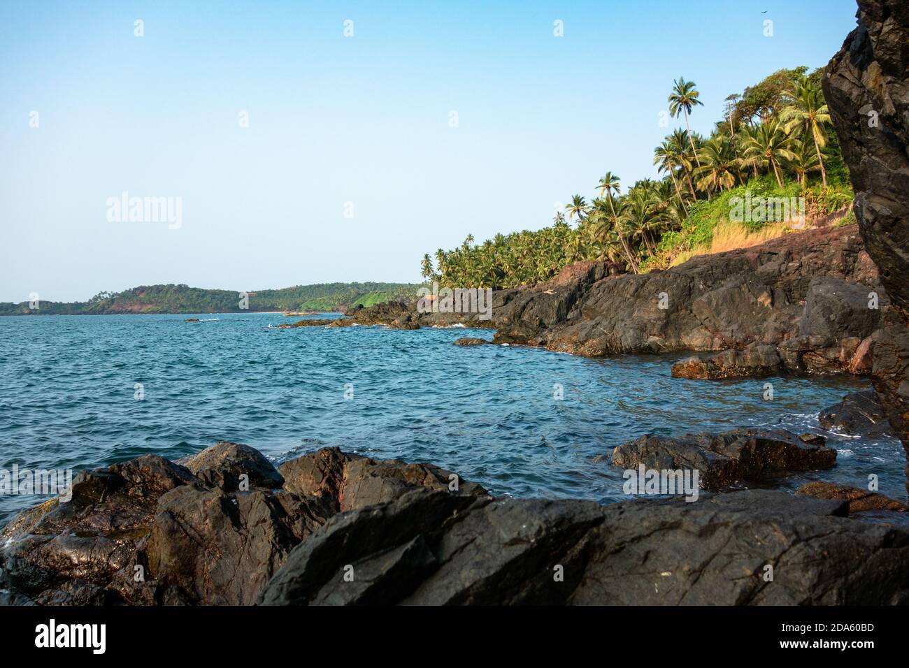 Arabian sea meets rocky shoreline and coconut palm trees at Cabo de ...