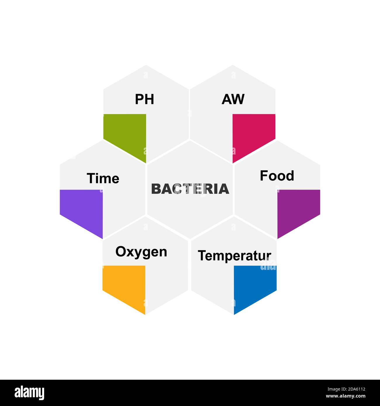 Bacteria Diagram High Resolution Stock Photography and Images - Alamy