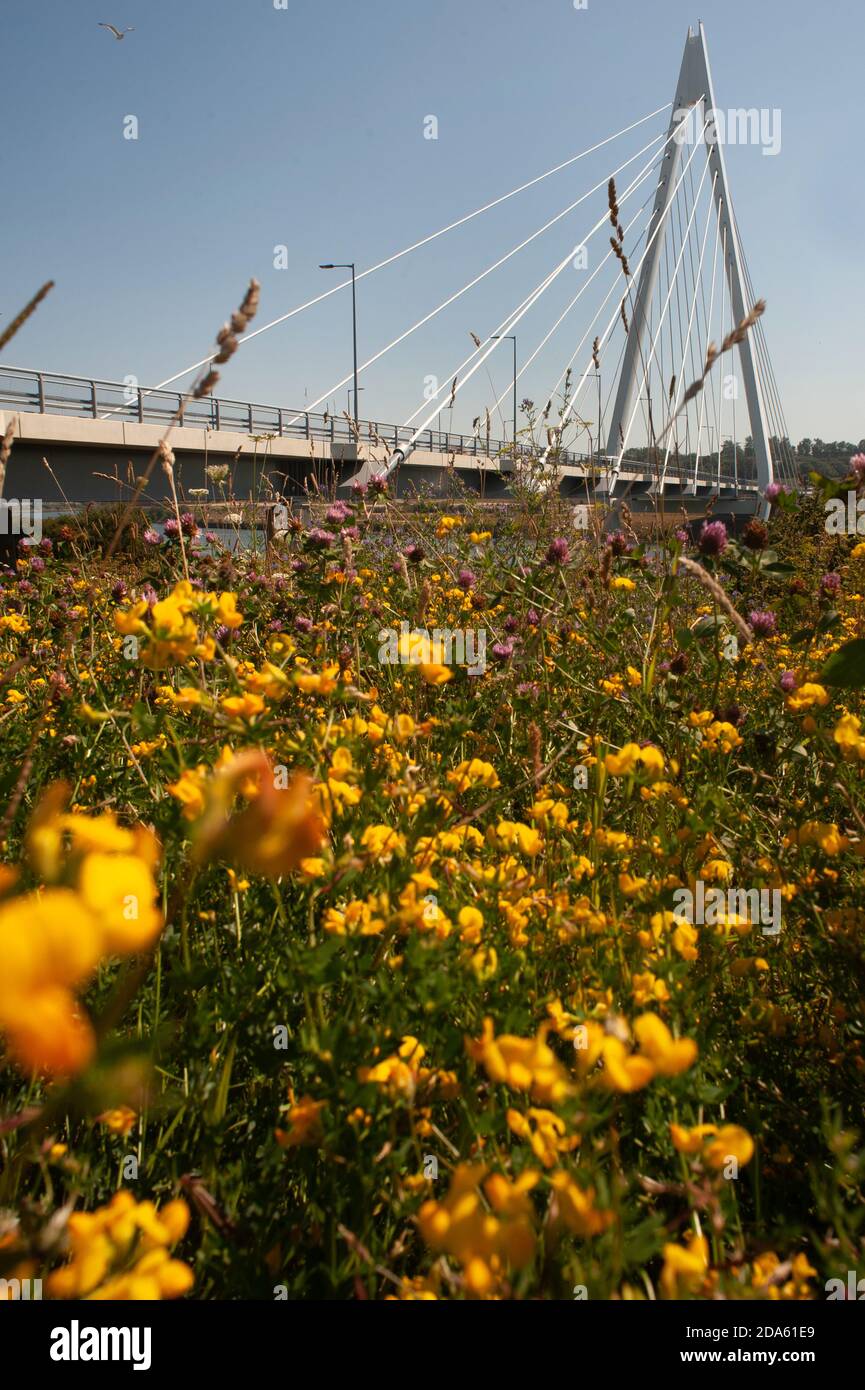 Northern Spire Bridge, Sunderland Stock Photo - Alamy