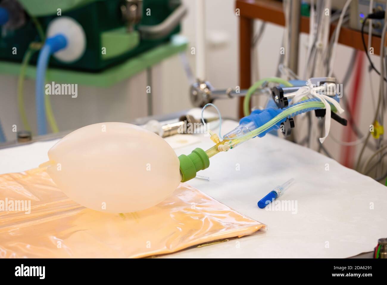 Inflated balloon attached to lung ventilator with attached tubes for ...
