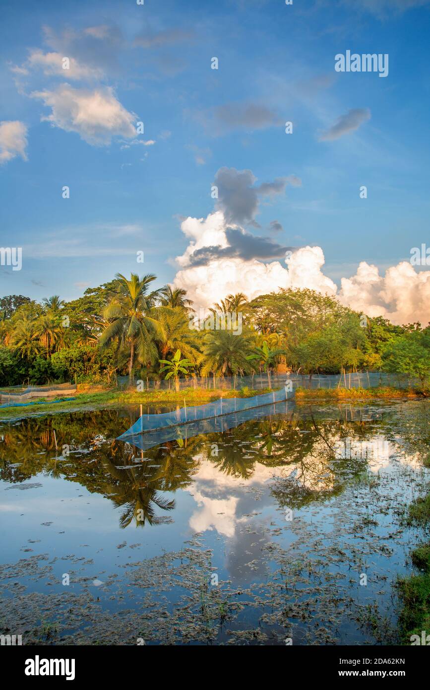 Water rain pond road hi-res stock photography and images - Alamy