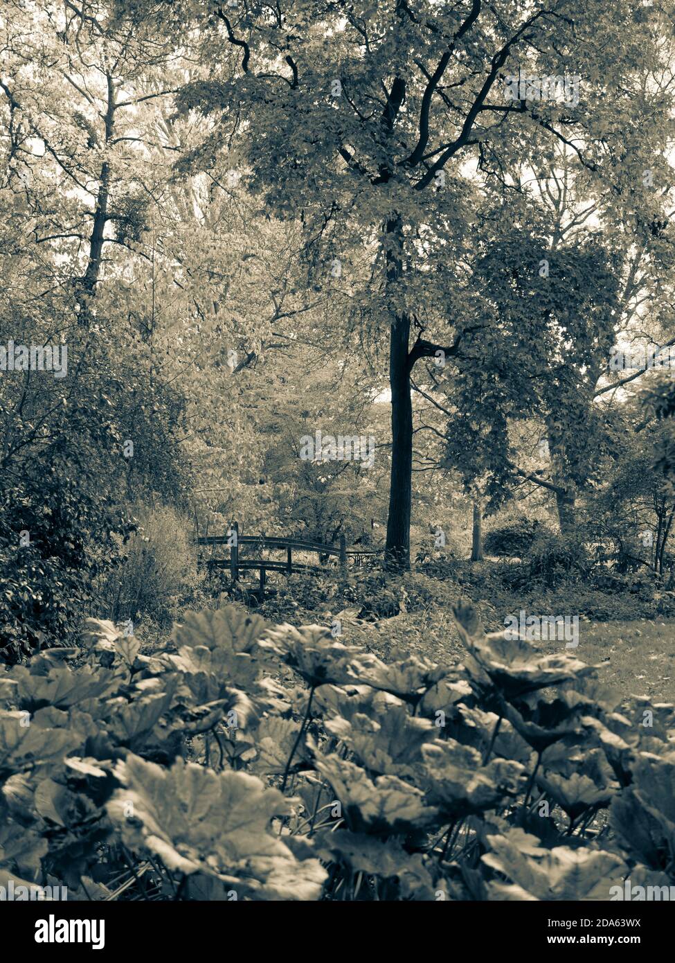 Black and White Landscape of Beautiful Garden, Englefield House Gardens ...