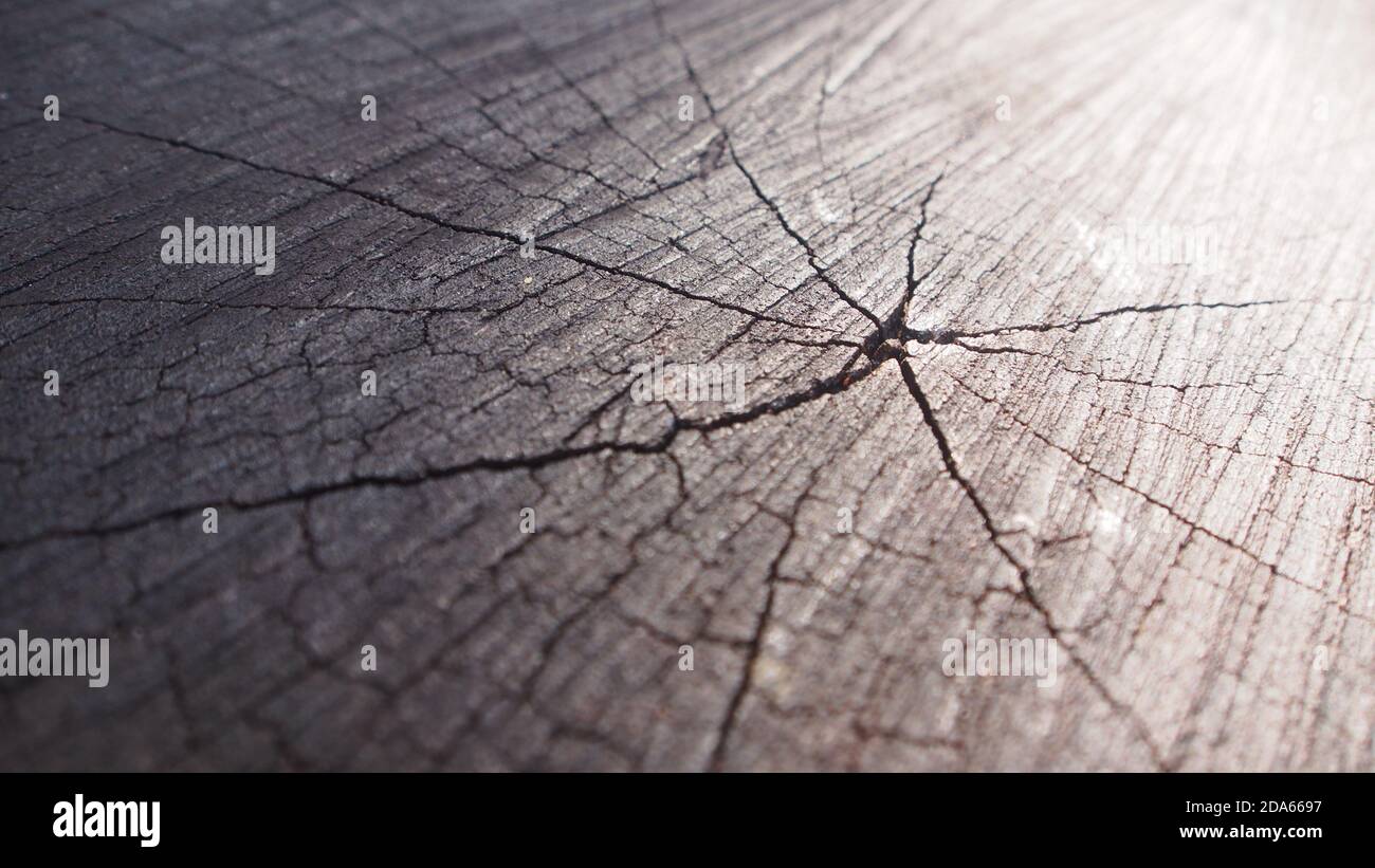 Paris Eiffel Tower with Light Pole under Blue Sky Stock Photo - Alamy