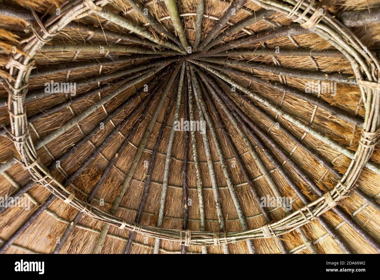 The interior of a simple thatched roof on a roundhouse in the Water ...