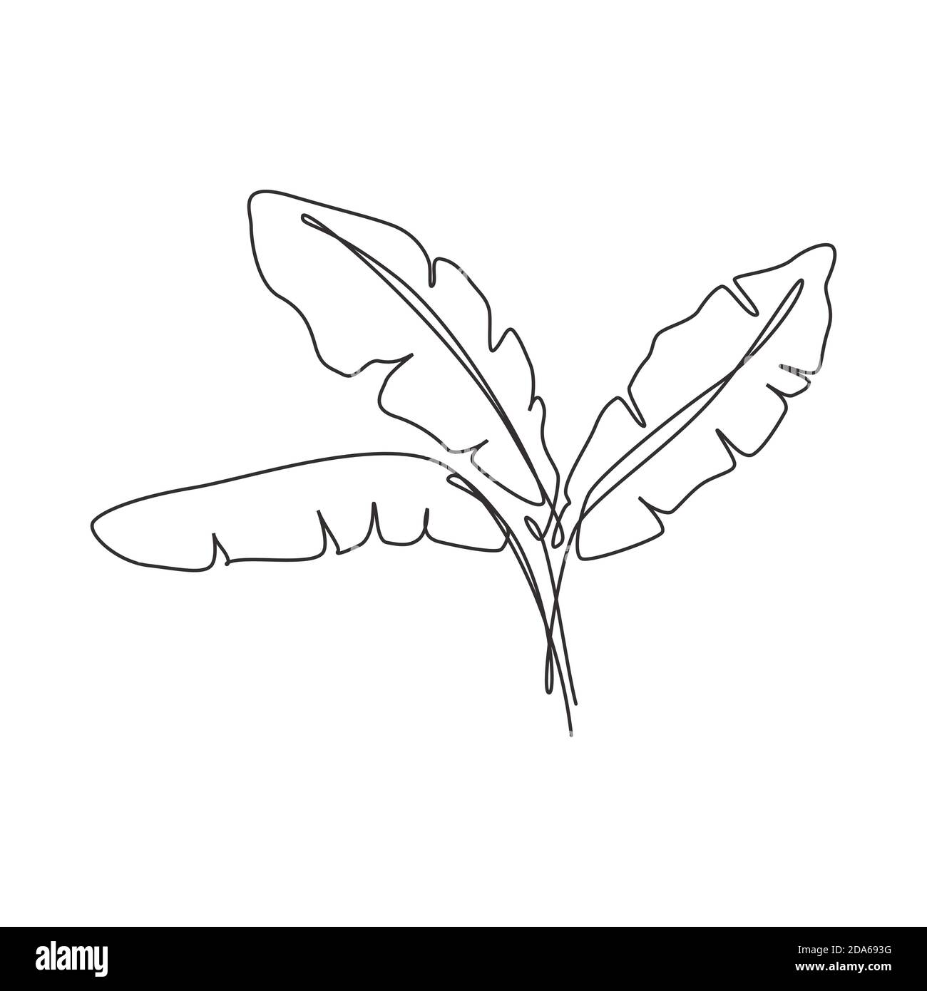 One continuous line drawing tropical banana leaf. Organic minimal ...
