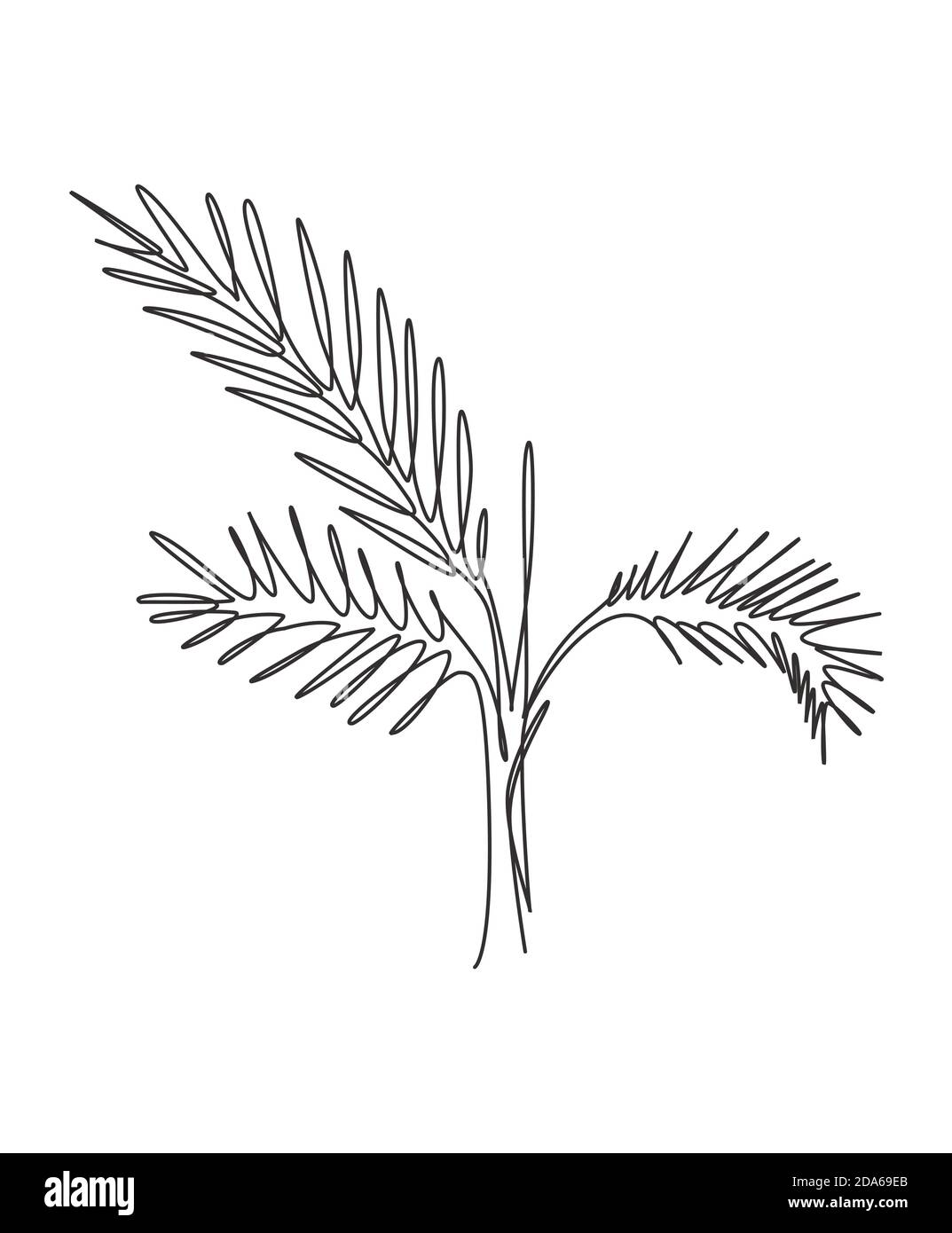 Arecanut tree Stock Vector Images - Alamy