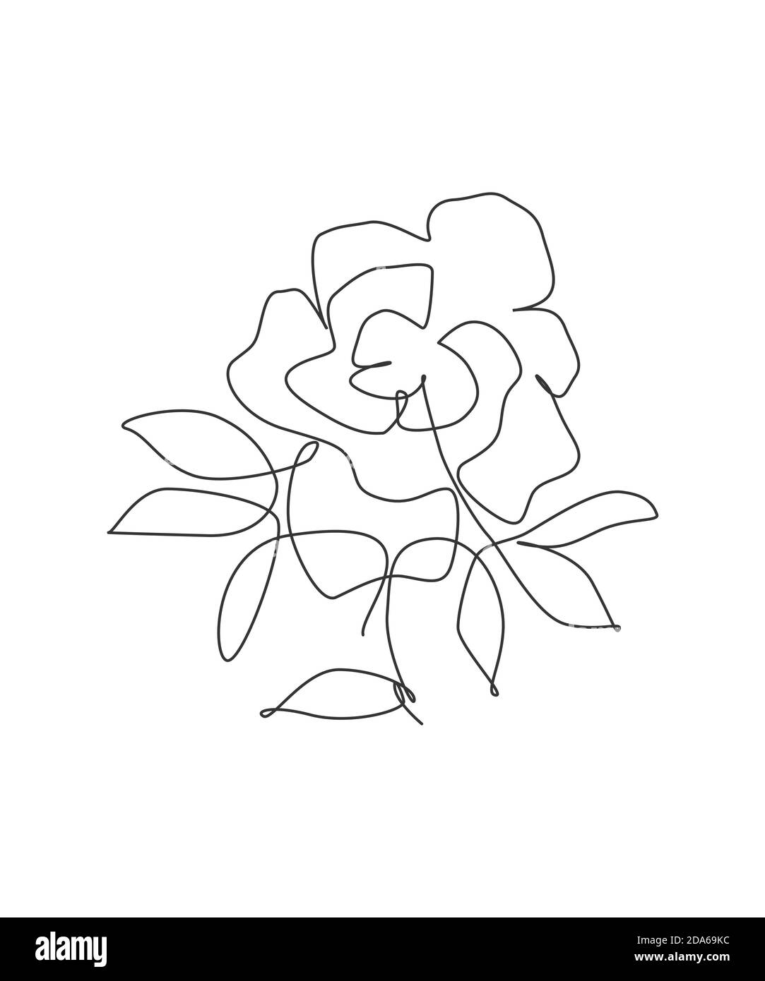 One Single Line Drawing Beauty Rose Flower Vector Illustration Minimal