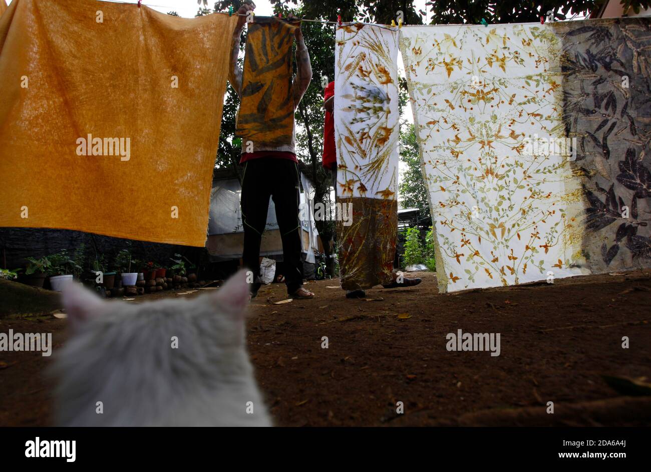 Printing plants hi-res stock photography and images - Alamy