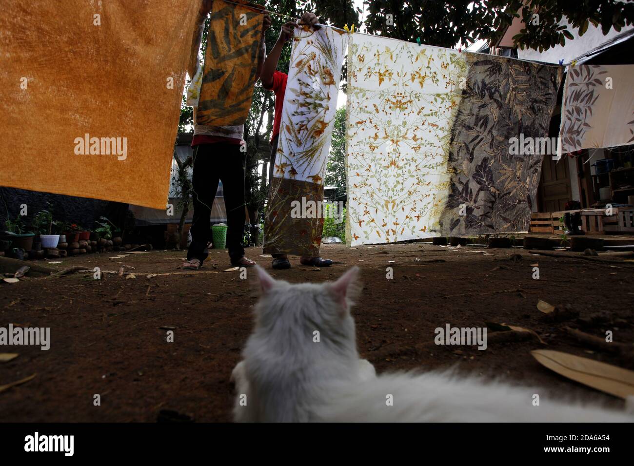Printing plants hi-res stock photography and images - Alamy