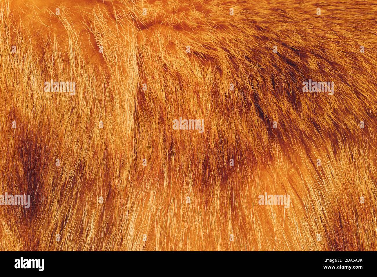 Textures red fox fur. Red fox shaggy fur texture cloth abstract, furry ...