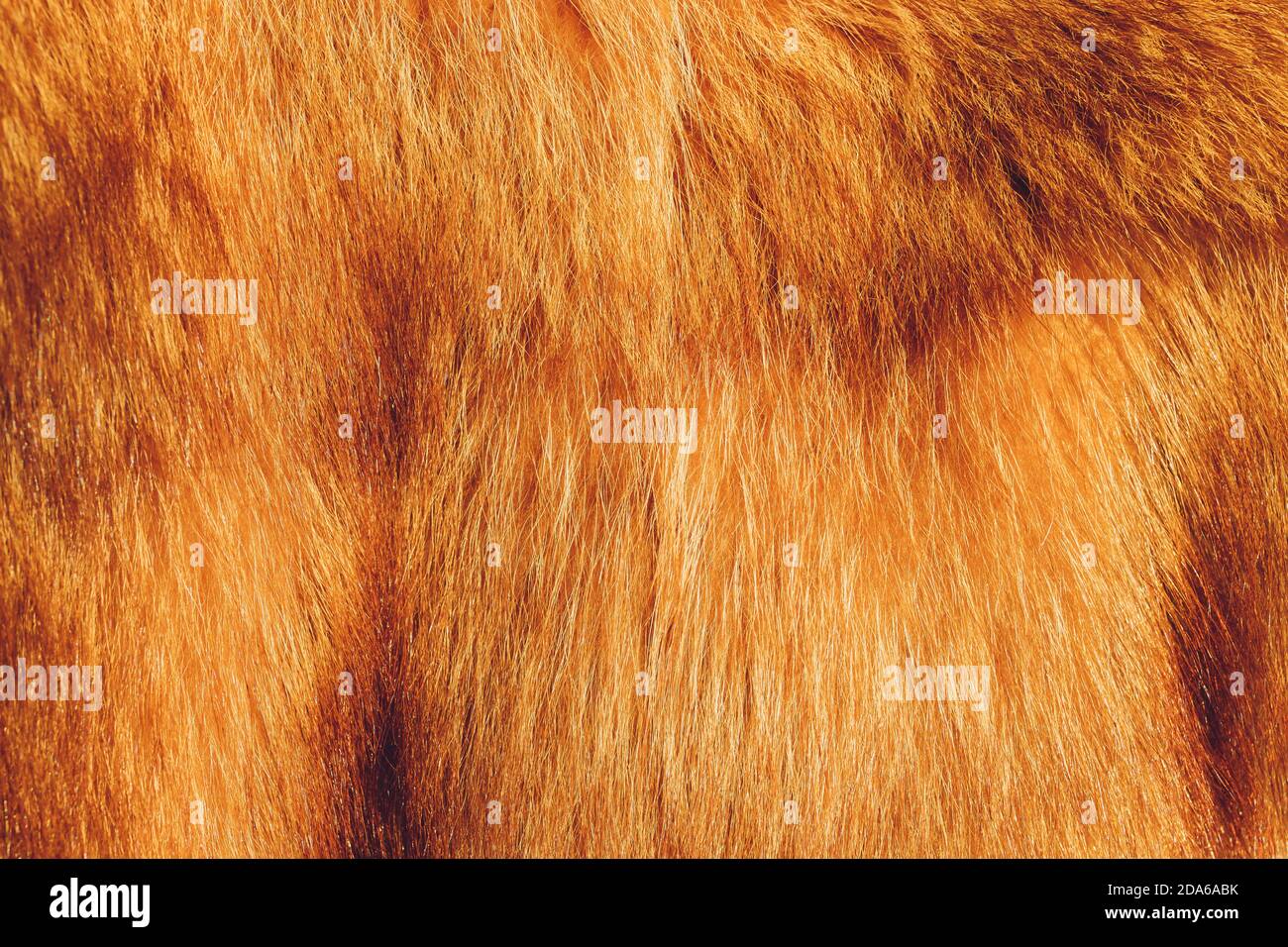 Textures red fox fur. Red fox shaggy fur texture cloth abstract, furry ...