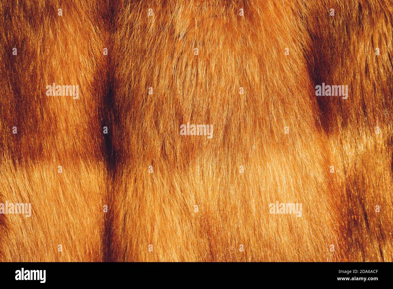 Textures red fox fur. Red fox shaggy fur texture cloth abstract, furry ...