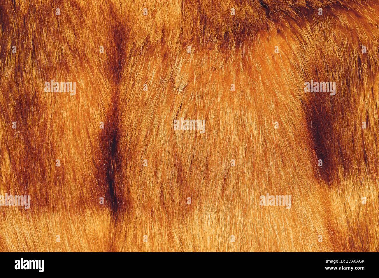 Textures red fox fur. Red fox shaggy fur texture cloth abstract, furry ...