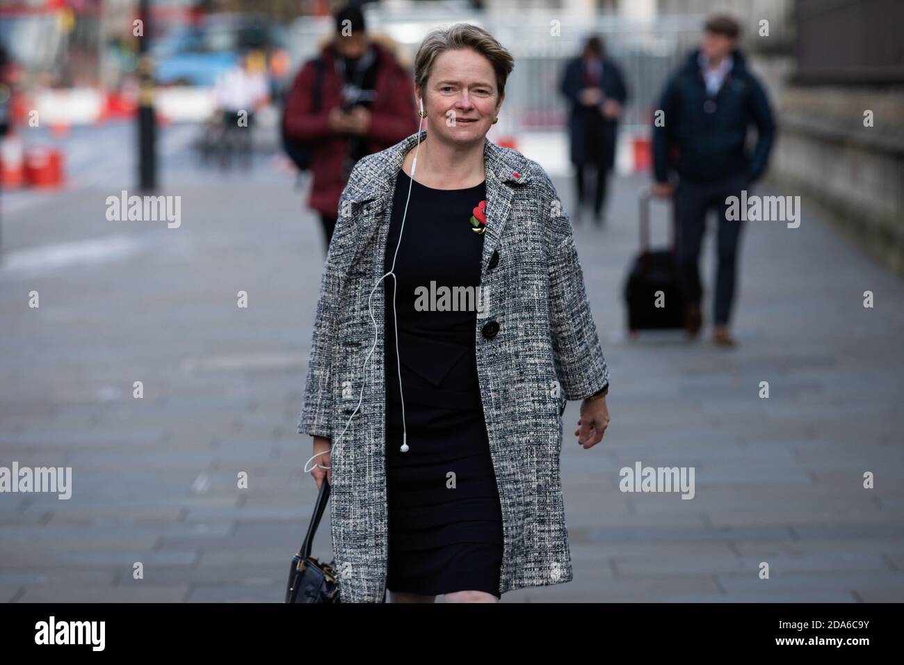 Baroness Dido Harding, Executive Chair of NHS Test and Trace, in ...