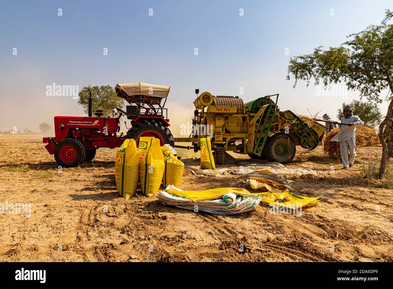 harvesting crops in india Stock Photo - Alamy