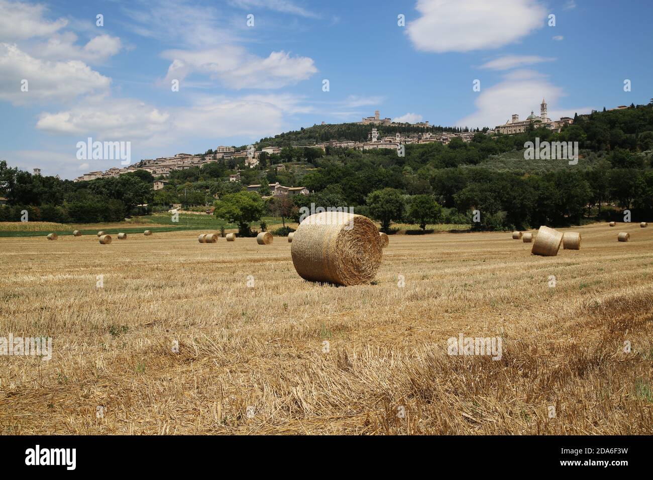 Countryside around the medieval town of Assisi Stock Photo - Alamy