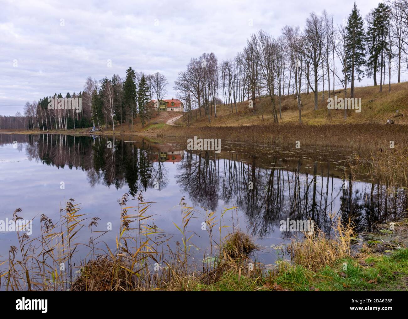 autumn view of a small lake, forest reflections, autumn landscape Stock ...