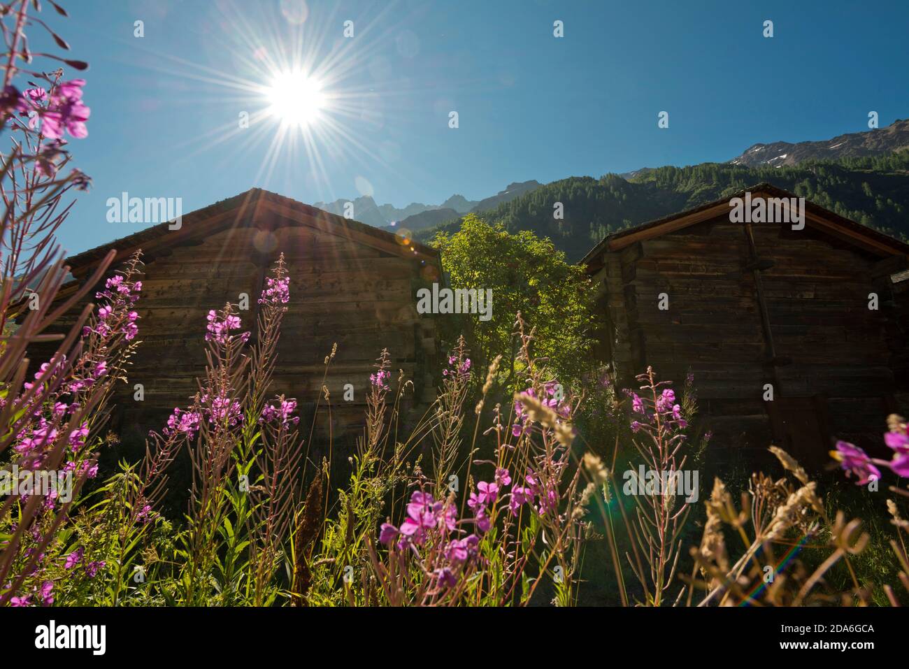 Switzerland, Valais, Wallis, Lötschental, montagne, montagnes, Berg ...