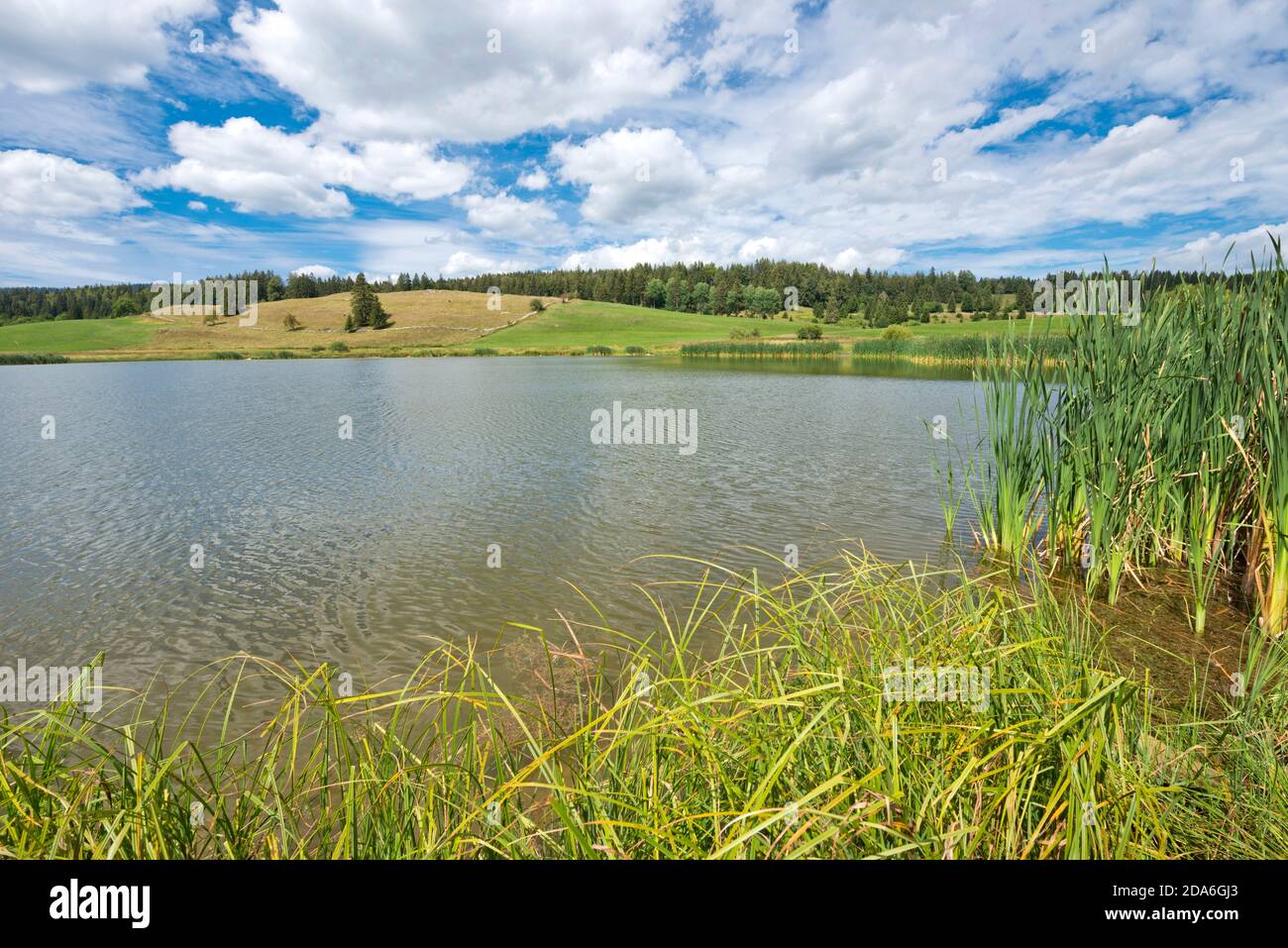 Switzerland, Vaud, Waadt, Vallée de Joux, Parc Jura vaudois, Lac Ter ...
