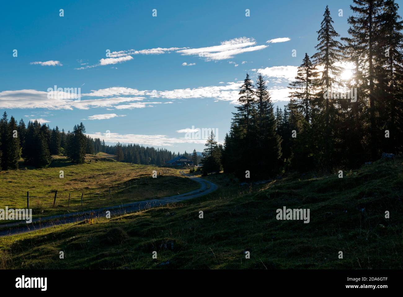 Switzerland, Vaud, Waadt, Vallée de Joux, Parc Jura vaudois, Col du ...