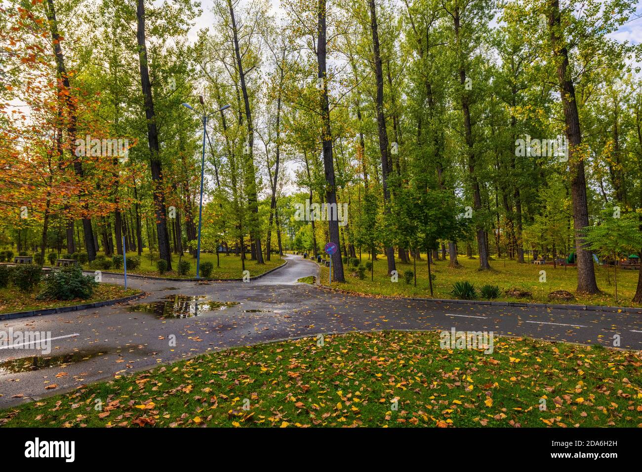 a beautiful autumn landscape in the park on an October day Stock Photo ...
