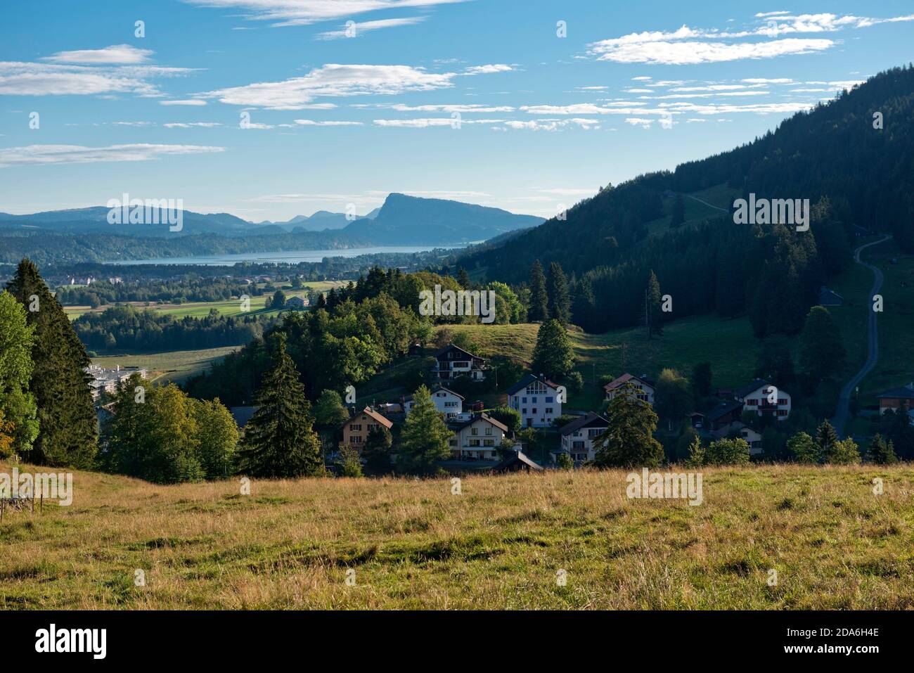 Switzerland, Vaud, Waadt, Vallée de Joux, Parc Jura vaudois, panorama ...