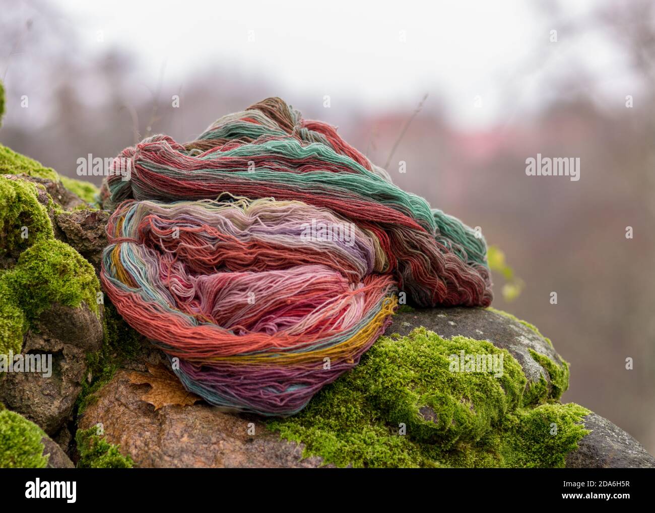 stones overgrown with green moss, colored wool yarn skeins, handicraft ...