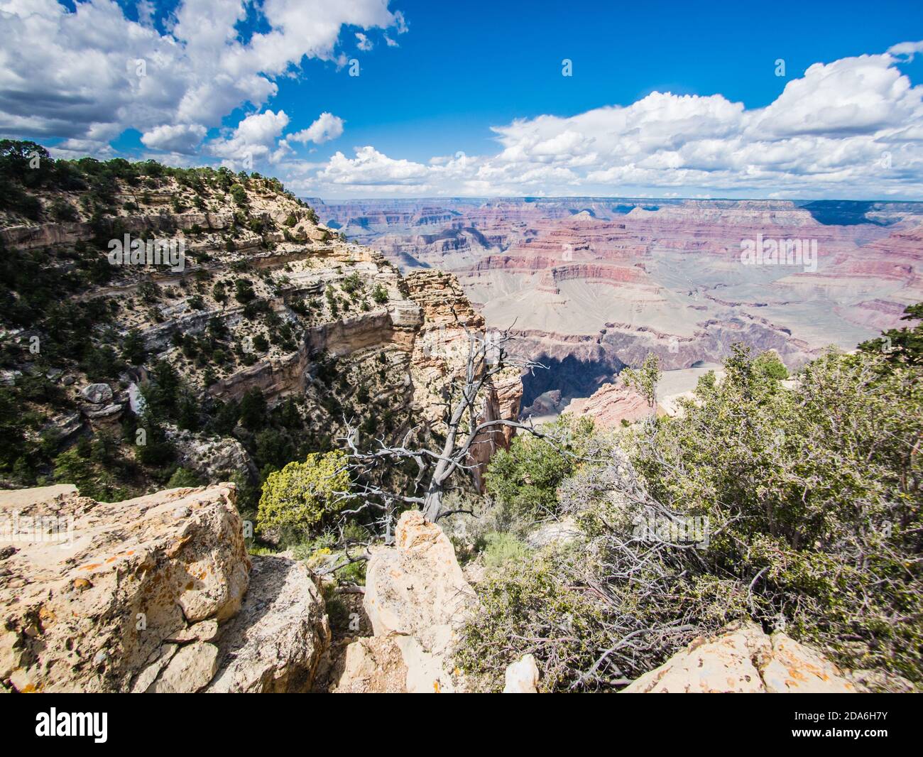 Famous Grand Canyon national park, Arizona, USA Stock Photo - Alamy