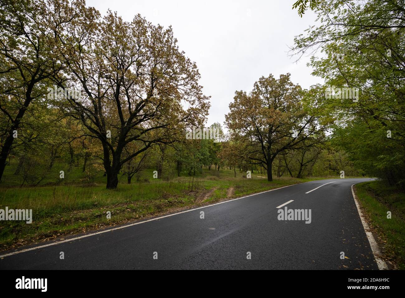 a beautiful autumn landscape in the park on an October day Stock Photo ...