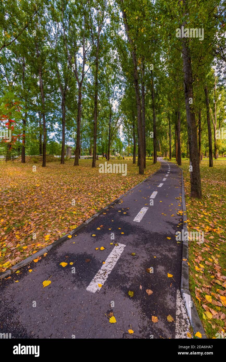 a beautiful autumn landscape in the park on an October day Stock Photo ...