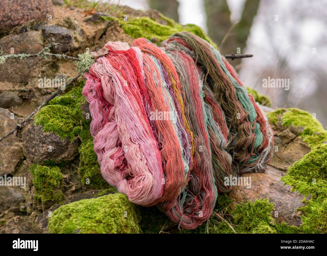 stones overgrown with green moss, colored wool yarn skeins, handicraft ...