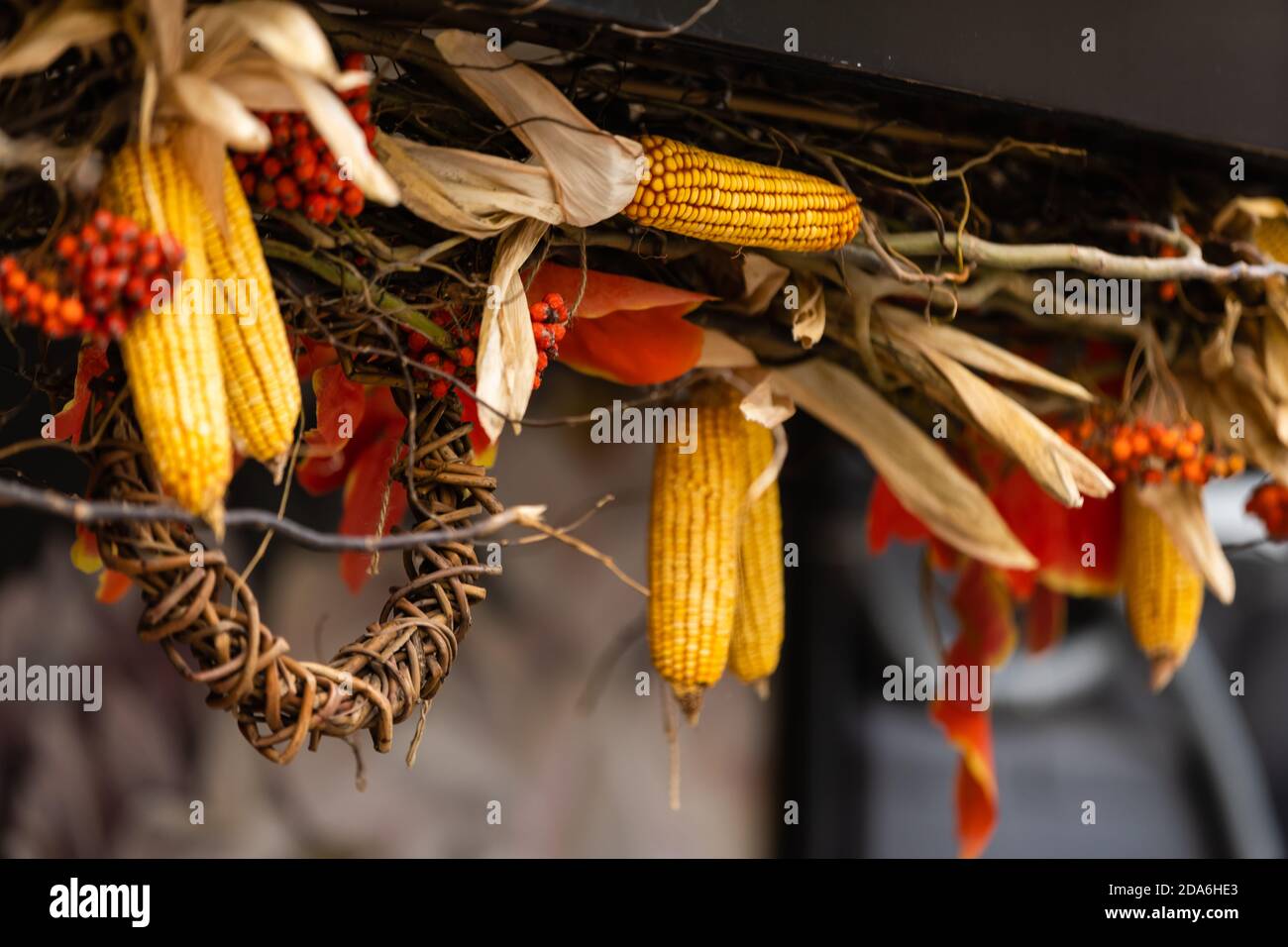 Ripe yellow corn stover string above the door of rural farmhouse symbol ...