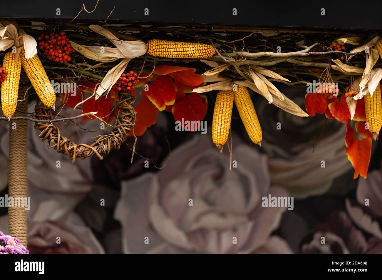 Ripe yellow corn stover string above the door of rural farmhouse symbol ...