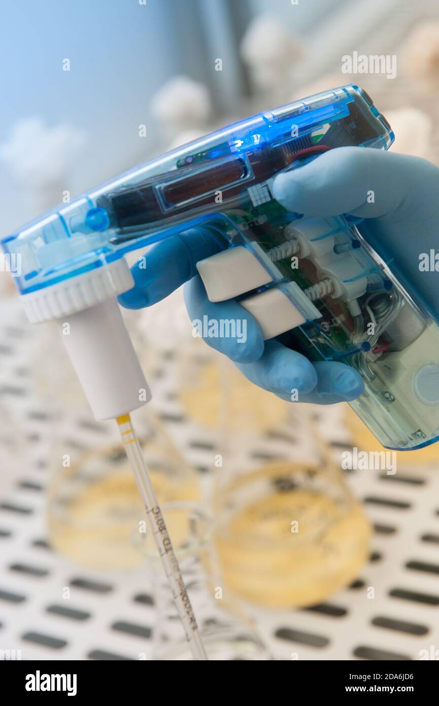 laboratory tests for viruses and bacteria Stock Photo - Alamy