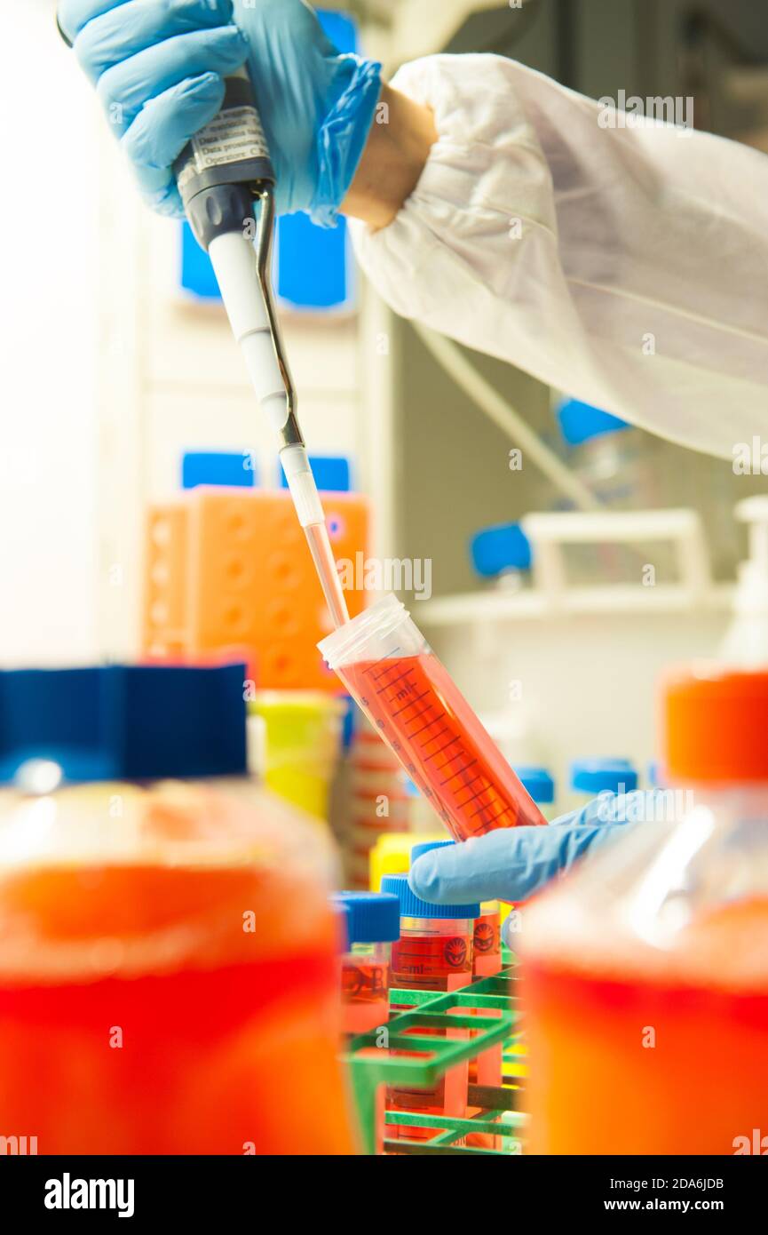 laboratory tests for viruses and bacteria Stock Photo - Alamy