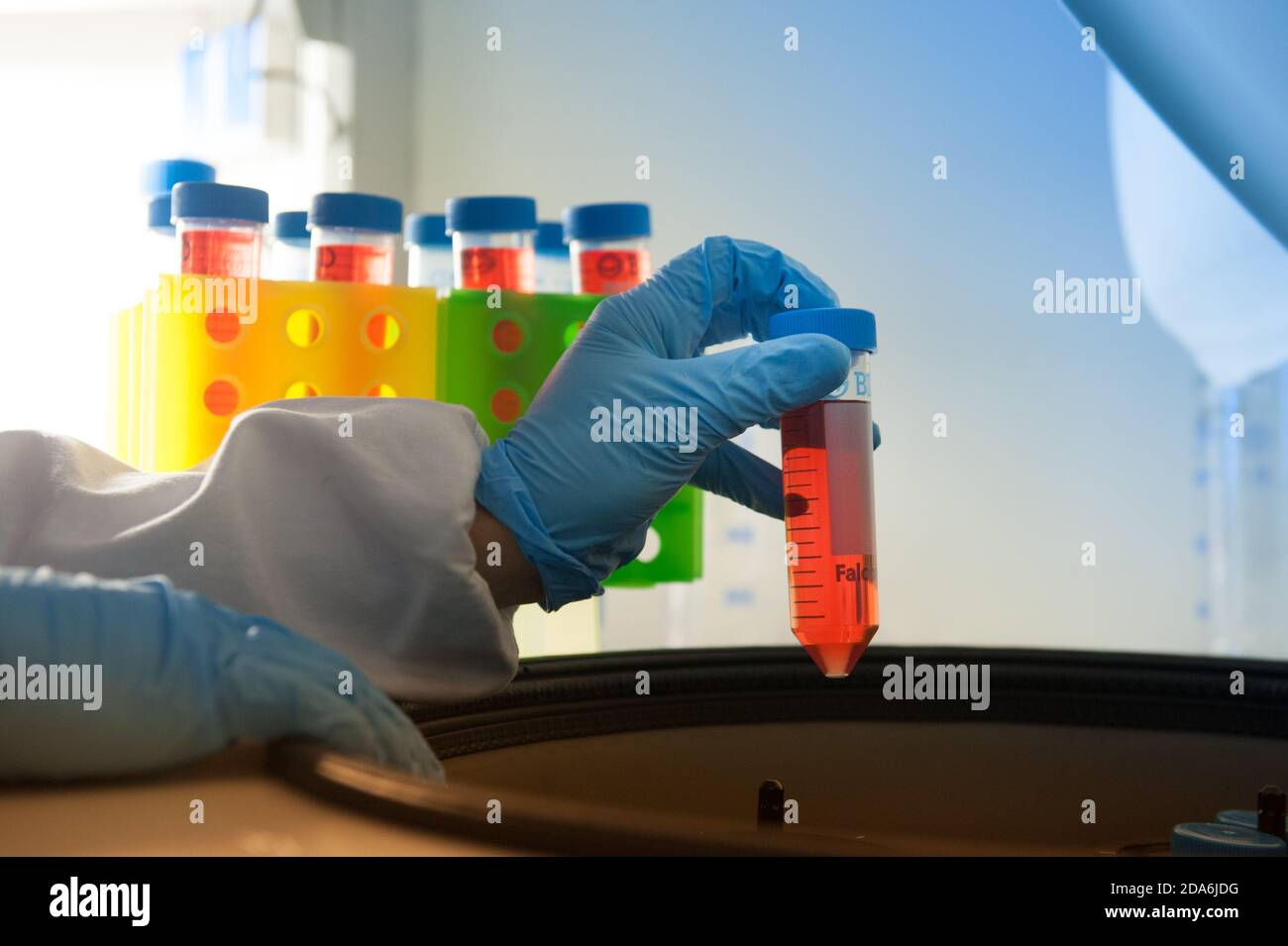 laboratory tests for viruses and bacteria Stock Photo - Alamy