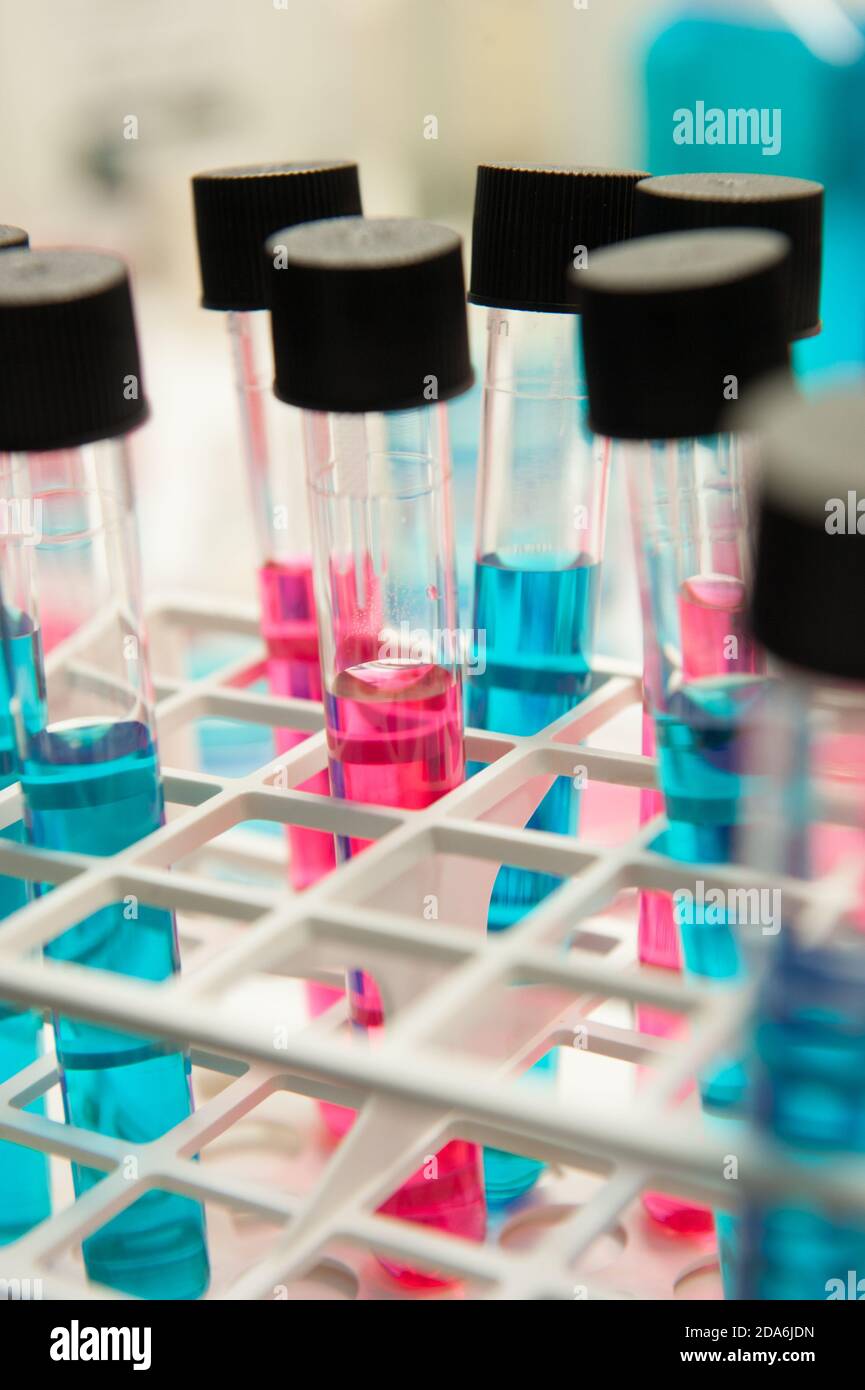 laboratory tests for viruses and bacteria pipes Stock Photo - Alamy