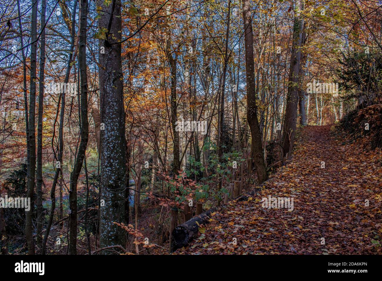 Path cover hi-res stock photography and images - Alamy