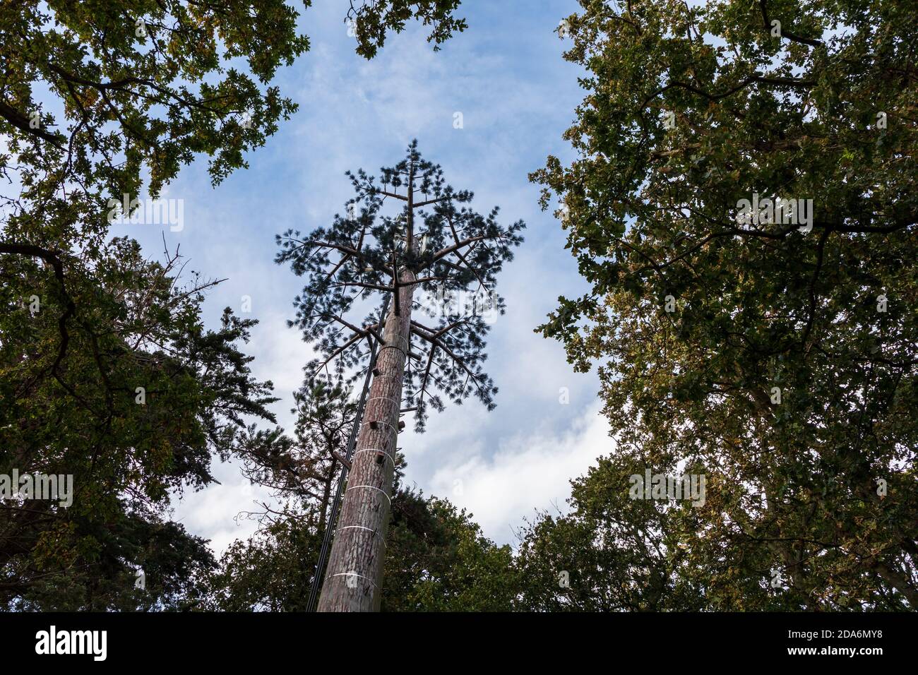 Disguised antenna hi-res stock photography and images - Alamy