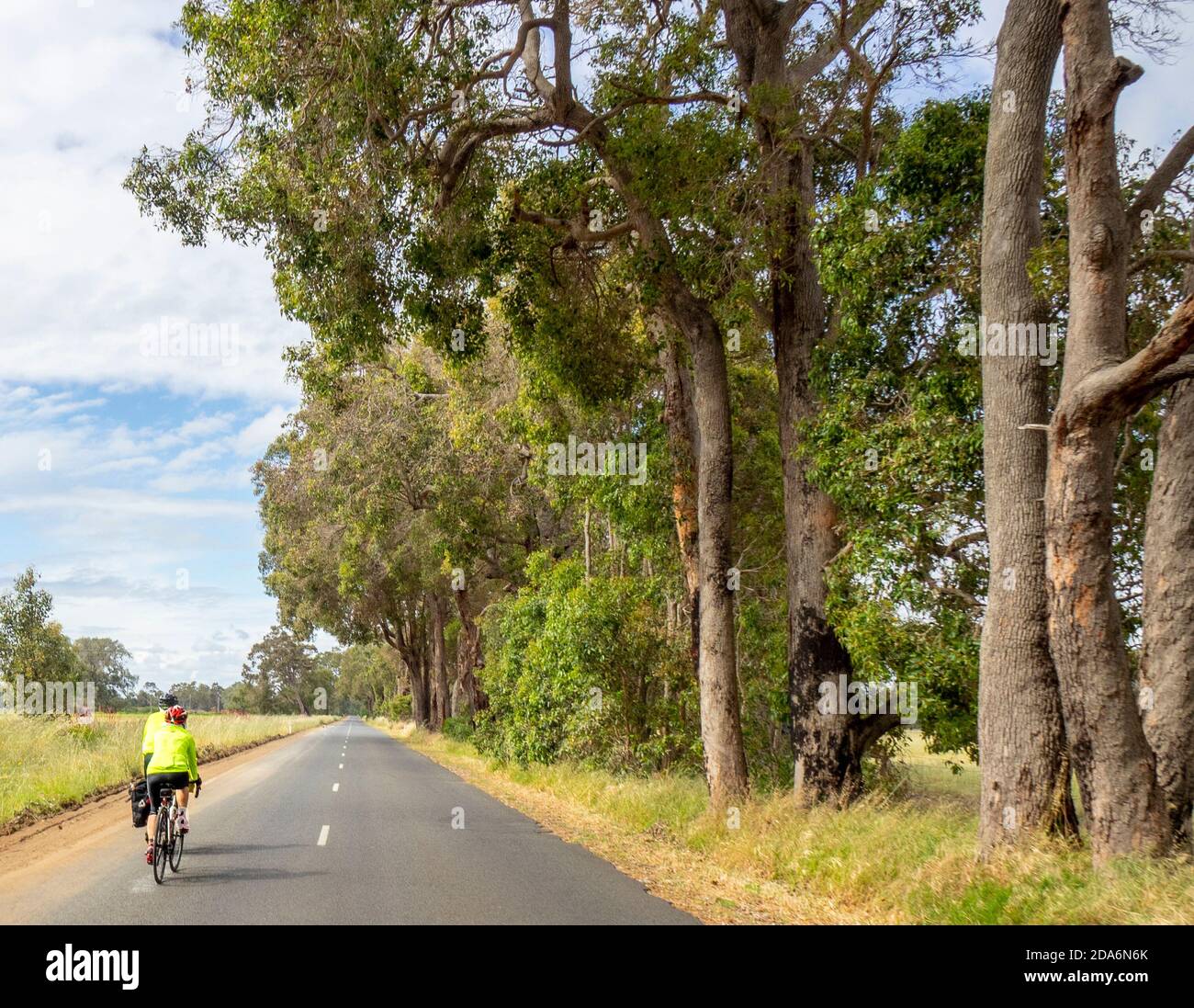 Touring cyclists travelling on vacation riding bicycles on a country ...