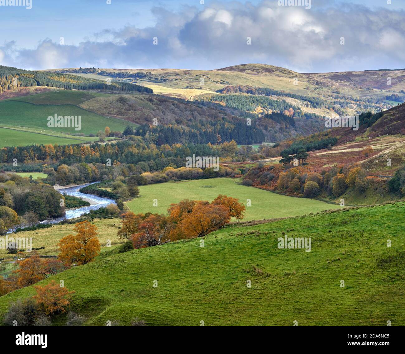 Scottish borders landscape hi-res stock photography and images - Alamy