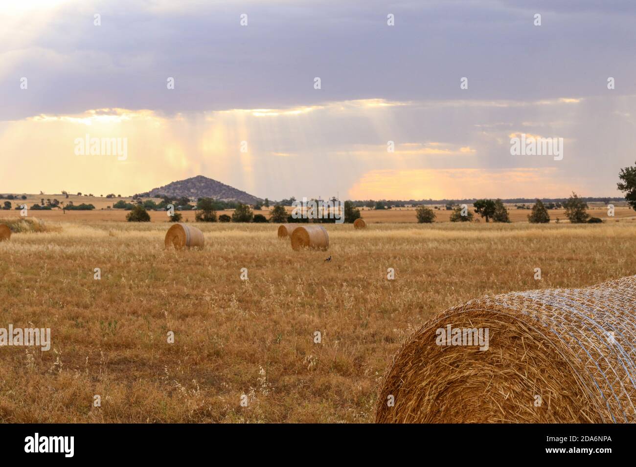 Landscape view of fields at sunset Stock Photo - Alamy