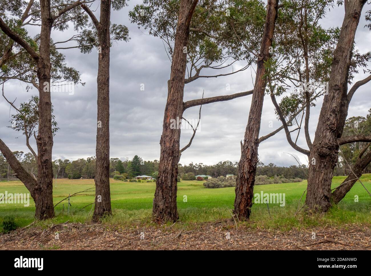 Margaret Field High Resolution Stock Photography and Images - Alamy