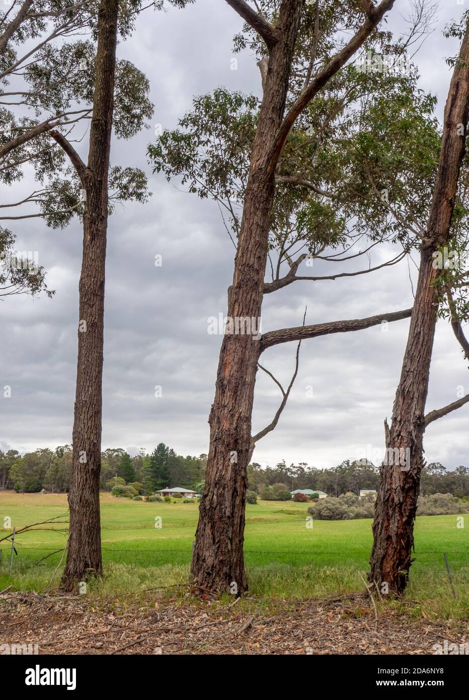 Margaret Field High Resolution Stock Photography and Images - Alamy