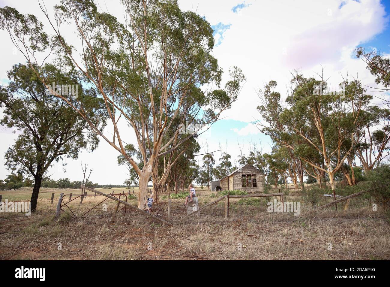 Old farm gates falling over in the countryside Stock Photo - Alamy