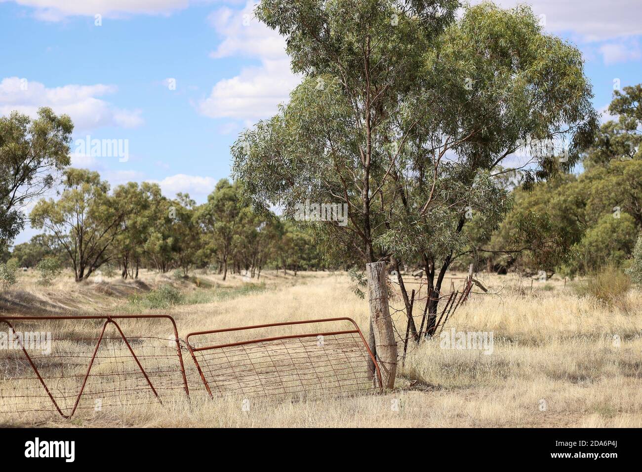 Old farm gates falling over in the countryside Stock Photo - Alamy