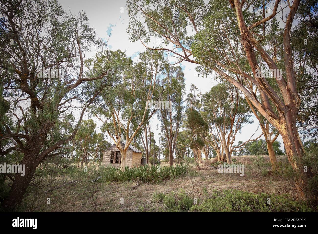 Old farm gates falling over in the countryside Stock Photo - Alamy