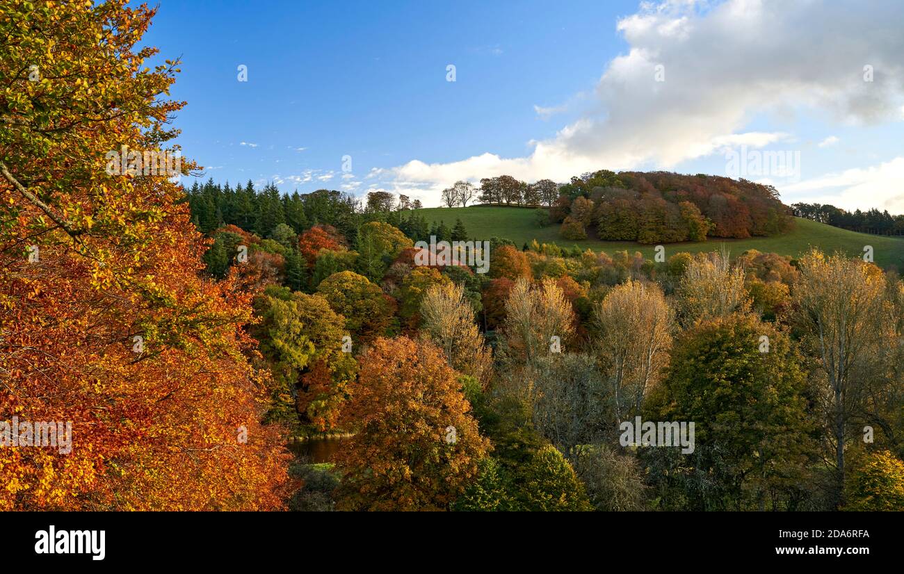 Glorious autumn colours of the trees along the River Tweed near ...