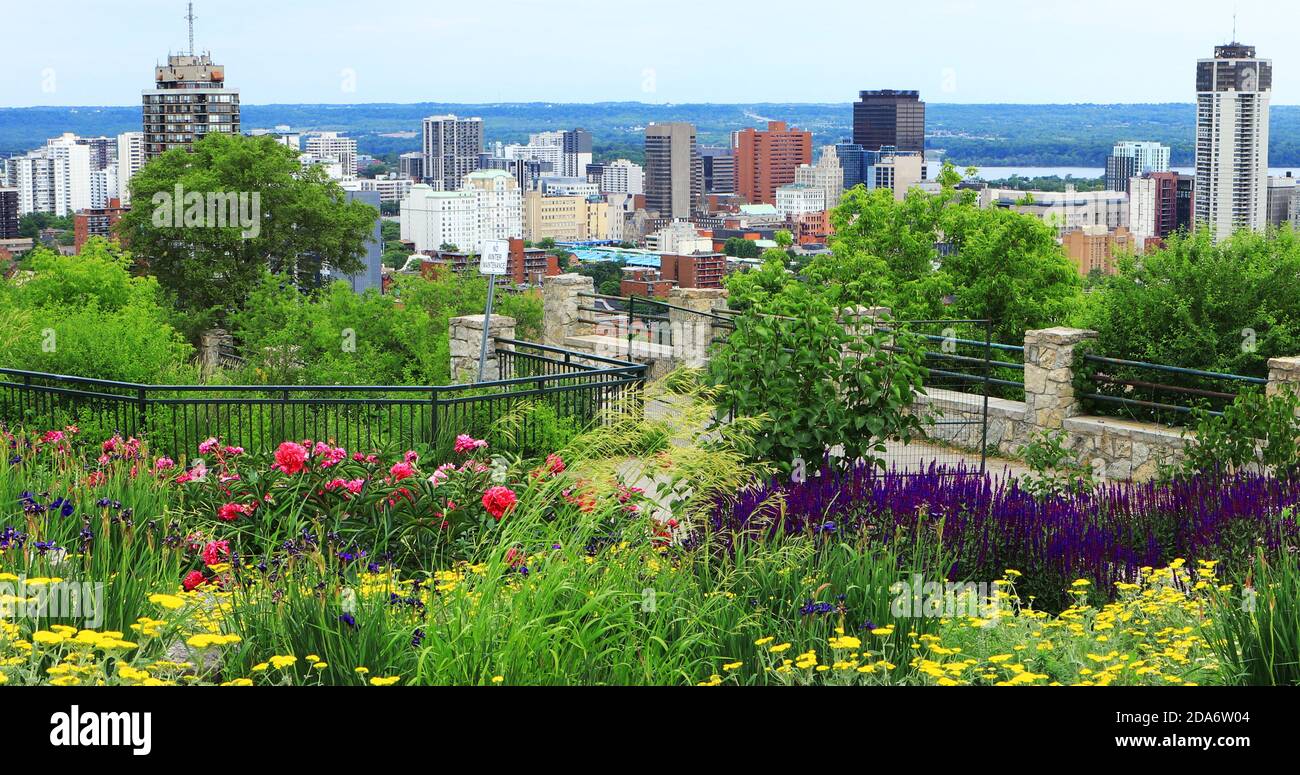 The Hamilton, Ontario city center with flowers in front Stock Photo - Alamy